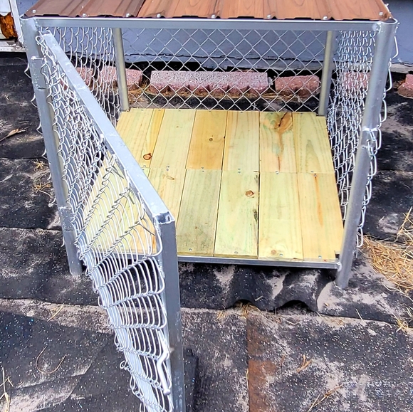 Dog Kennels Florida | Dog | 3x3 Dog Kennel Crate | Poshmark
